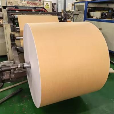 China Double Wall Competitive Price PE Coated Paper Roll Superior Oil Resistance for sale