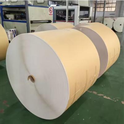 China Wood Pulp Fast Shipping Food Packaging PE Coated Paper Roll for sale