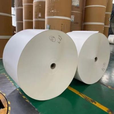 China Custom Logo Disposable Paper Cup Raw Material 6oz 8oz 10oz PE Coated Paper Roll for sale