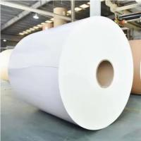 China Best Unique High Quality PE Coated Paper Roll with Excellent Oil Resistance for sale