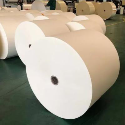 China 6oz 8oz 10oz Eco-friendly Personalize PE Coated Paper Roll Greaseproof for sale