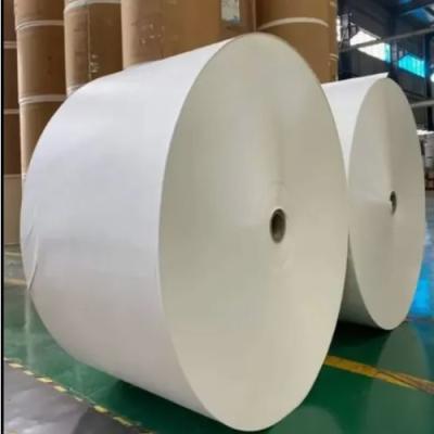 China Manufacturer Direct Sell PE Coated Paper Roll Heat Insulation for sale