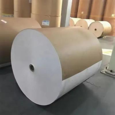 China PE Coated Paper Roll Designed for Beverage Coffee Juice Offset Printing for sale