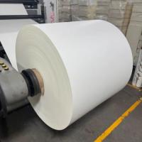 China Custom Food Grade PE Coated Paper Roll 5oz 6oz 7oz 8oz Size Paper Cups for sale