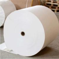 China Single PE Coated Paper Roll Raw Material for Printed Paper Cups for sale