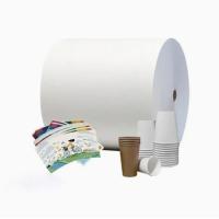 China Double Sided Coated PE Coated Paper Roll High Quality Compostable for sale