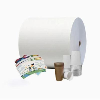 China Double Sided Coated PE Coated Paper Roll High Quality Compostable for sale
