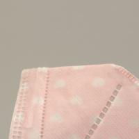 China Personal Protection Haze Filter Foldable Face Mask KN95 SGS 5/6 Floors for sale