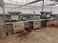 China Vegetable Planter Flowers Zk-600-B Zk-Yb330d Zk-Bzj-600 Automatic Plug Tray Seedling Production Line for sale