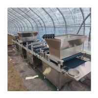 China Vegetable Planter Flowers Zk-600-B Zk-Yb330d Zk-Bzj-600 Automatic Plug Tray Seedling Production Line for sale