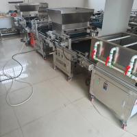 China Vegetable Planter Flowers Zk-600-B Zk-Yb330d Zk-Bzj-600 Automatic Plug Tray Seedling Production Line for sale