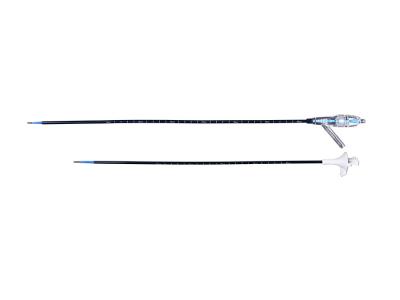 China Disposable Sterile Ureteral Access Sheath for sale
