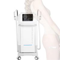China 13 Tesla rF fat cavitation machine for sale