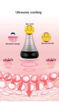 China 9 In 1 Cellulite Ems Slimming Machine Biopolar Quardripolar Frequency for sale