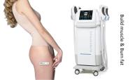 China Cellulite Remover RF Body Slimming Device Portable Slim Beauty for sale