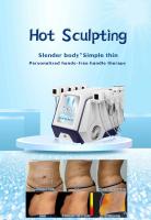 China Portable Rf Fat Burning Machine Trushape Trusculpt ID Radio Frequency for sale