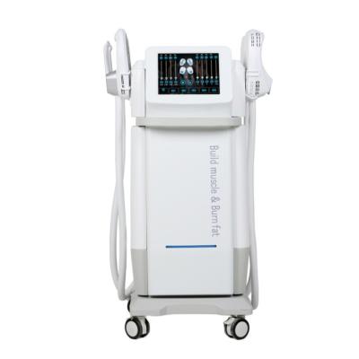 China Professional Rf Cavitation Machine Electric Muscle Stimulator for sale