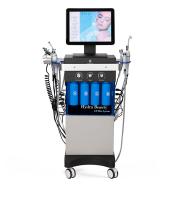China 14 In 1 Oxygen Hydro Facial Machine for sale