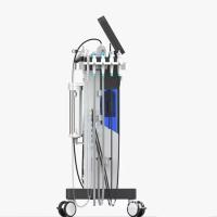 China Multifunction Hydro Facial Machine Dermabrasion Skin Rejuvenation Device for sale