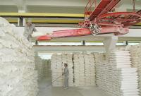China 500T Wheat flour mill for sale