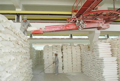China 500T Wheat flour mill for sale