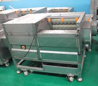 China Legume Vegetable Cleaning Machine For Carrot Potato Tomato for sale
