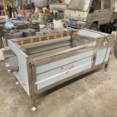 China 500kg/h Carrot Wool rolle Peeling Machine  Bubble Washer Vegetable And Fruit Cleaning Machine Vegetable Processing Line for sale