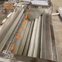 China 500kg/h Carrot Wool rolle Peeling Machine  Bubble Washer Vegetable And Fruit Cleaning Machine Vegetable Processing Line for sale