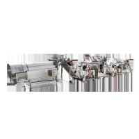 China SS304 Fully Automatic Frozen French Fries Making Machine Potato Chips Production Line for sale