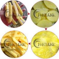 China Industrial Frozen French Fries Making Machine , Banana Plantain Chips Making Machine 2000kg/hr for sale