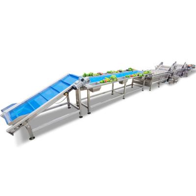 China Automatic Brush Type Potato Fruit And Vegetable Processing Line for sale