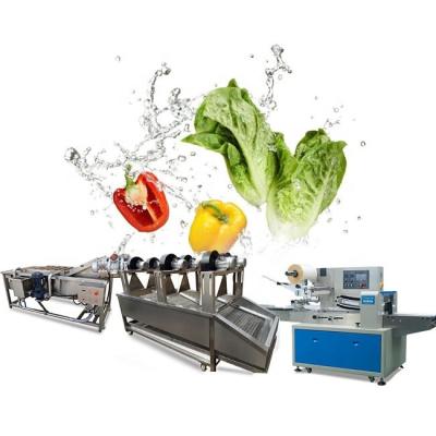China Industrial Brush Roller Sweet Potato Washing Machine Carrot Cleaning Machine for sale