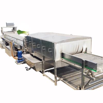 China French Fries Tomato Roller Bubble Washing Machine Vegetable And Fruit for sale