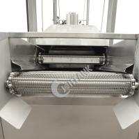China 200kg/H Continuous Fryer Machine For French Fries Banana Plantain Potato Chips for sale