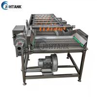 China Industrial Automatic Vegetable And Fruit Washing Cleaning Machine For Tomato Salad for sale