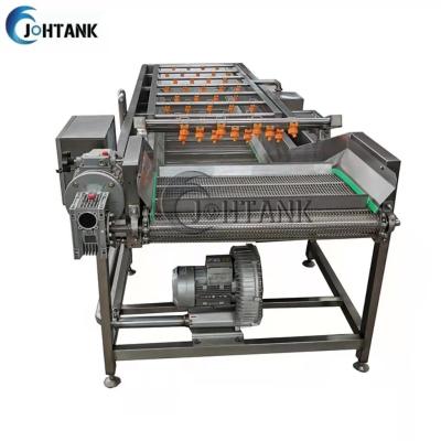 China SUS304 Bubble Washer For Fruit And Vegetable Processing Line for sale