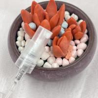 China Mist Perfume Pump Sprayer 11/410 Customized Color With Full PP Cap for sale