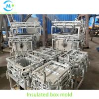 China Custom Rotational Mold for HDPE Cold Chain Cooler Box & Food-Grade Thermal Storage Container for sale