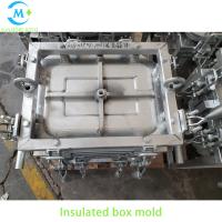 China Custom Rotational Mold for HDPE Cold Chain Cooler Box & Food-Grade Thermal Storage Container for sale