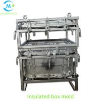 China Custom Rotational Mold for HDPE Cold Chain Cooler Box & Food-Grade Thermal Storage Container for sale