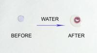 China Custom Color Change Water Indicator Sticker / Water Sensitive Label ISO9001 2000 for sale