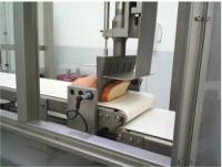 China 255mm Titanium Horn Ultrasonic Cake Cutting Machine 500W 20Khz for sale
