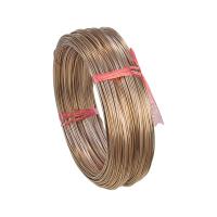 China ASTM C52100 CuSn8 C5212 Phosphor Bronze Wire 0.1-8.5mm High Strength Alloy for sale