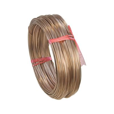China ASTM C52100 CuSn8 C5212 Phosphor Bronze Wire 0.1-8.5mm High Strength Alloy for sale