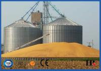 China 500/1000/10000 Ton Vertical Grain Silo Machine Hot Dip Galvanizing Coating For Storage for sale