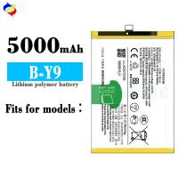 China VIVO b-Y9 Mobile Phone Battery with Double IC Protection and A 5000 mAh Capacity for sale