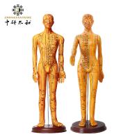China Portable Acupuncture Body Model Easy To Clean Smooth Surface And Flexible Joints Lightweight For Realistic Positioning for sale