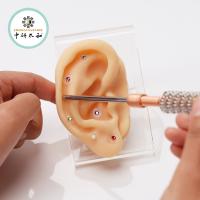 China Usually 1-5 Grams Per Pack Ear Point Acupuncture Seed Safe Avoid Allergic Reaction Effective Therapy Tool for Professional for sale