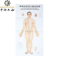 China 1.2*1.6m Acupuncture Culture 3pcs Per Set For Teaching Acupuncture Points for sale