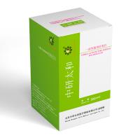 China Medical 0.2mm Sterile Acupuncture Needles Individual Guide Tubes With Stainless Steel Handle for sale